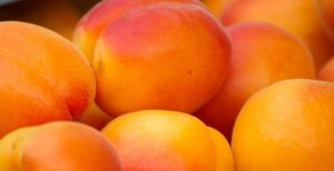 How To Make Apricot Wine In Your Kitchen - Fermentistry